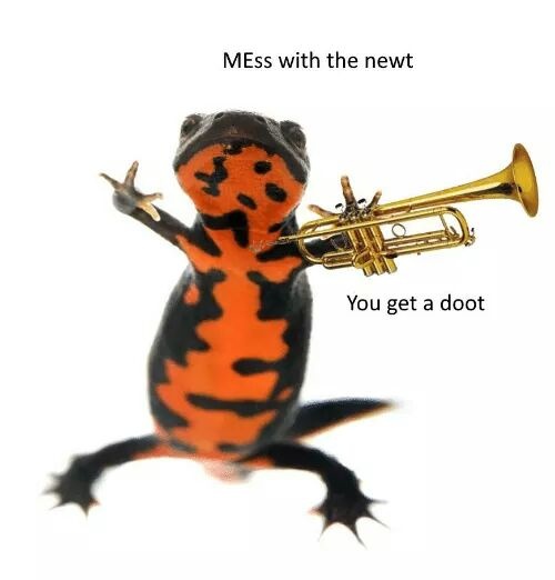 DOOT DOOT DOOT DOOT DOOT DOOT